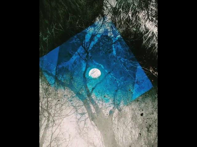 Orbital Mechanics - Bluetech & In the Branches: Song Lyrics, Music ...