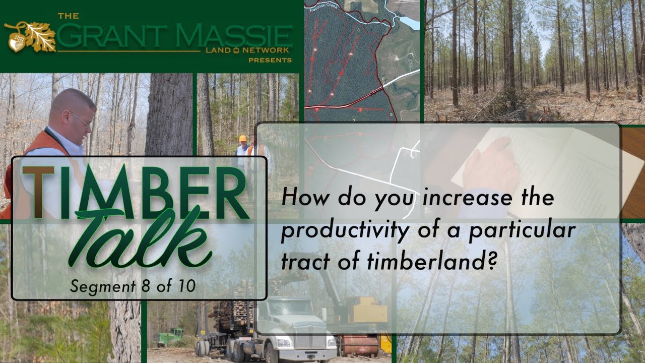 Timber Talk: How do you increase the productivity of a tract of ...