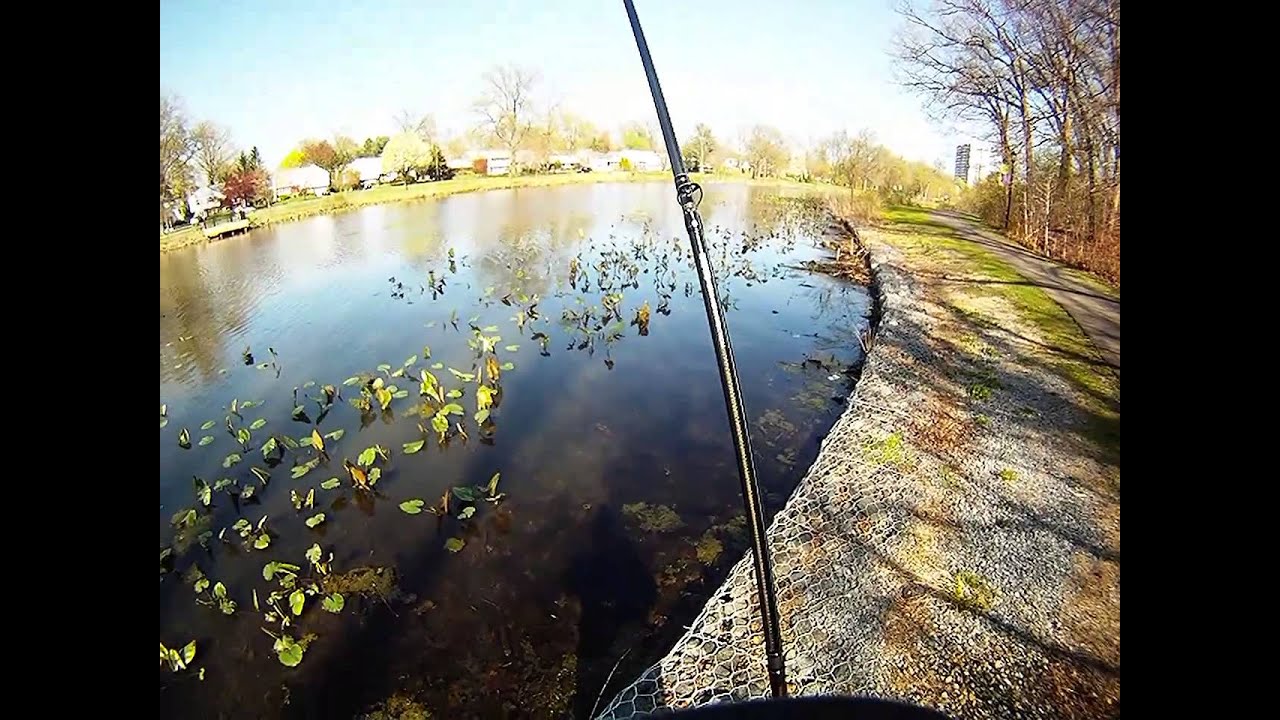 Largemouth Bass Fishing at Newton Lake in Nj using a Jig in Lily Pads ...
