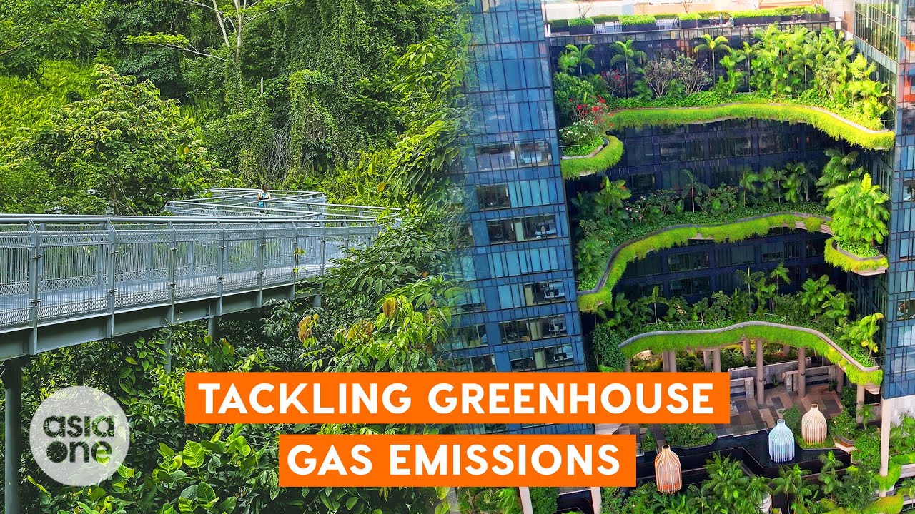 Reducing greenhouse gas emissions with greenery | TLDR - YouTube