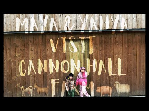 Maya and Yahya Visit Cannon Hall Farm - YouTube