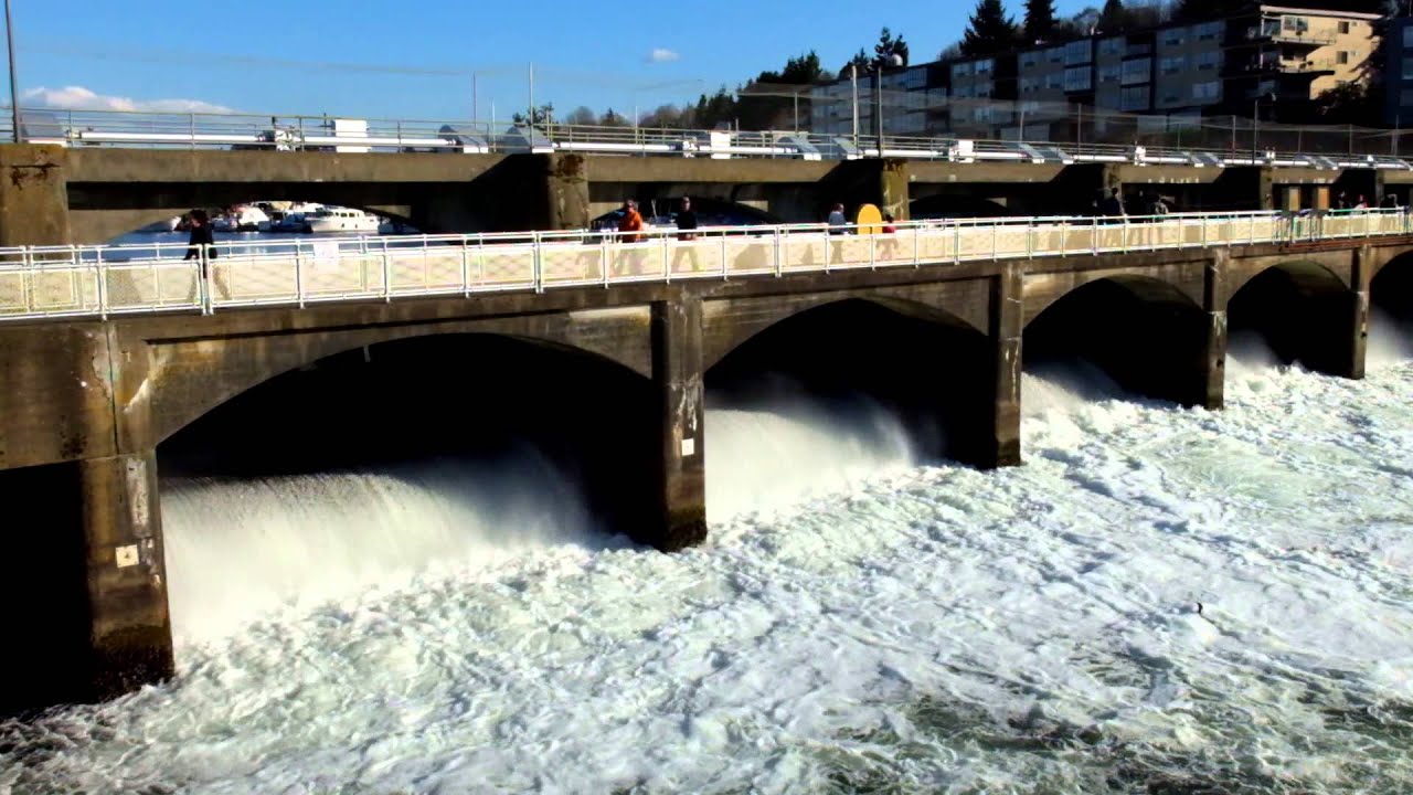 Fujifilm X20 Dam Sample Video
