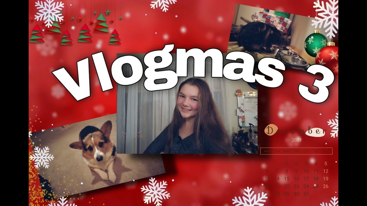 Vlogmas Day 3 ,Savchenko family, Christmas Countdown - YouTube