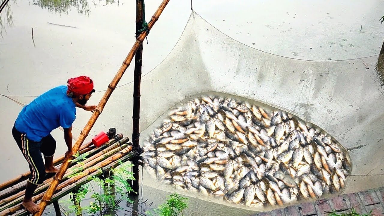 Amazing Fishing In Rainy Day | Best Traditional Flood Water Fishing ...