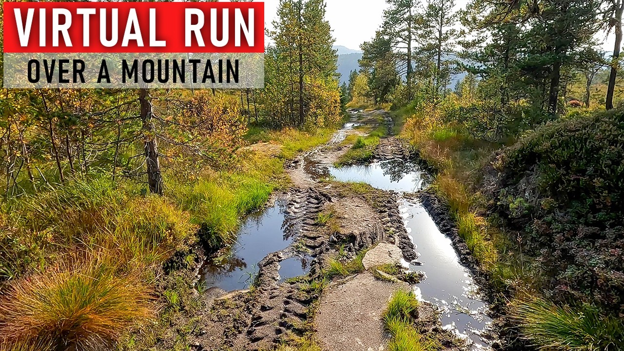 Virtual Run in Stunning Nature Scenery | Treadmill Workout - YouTube