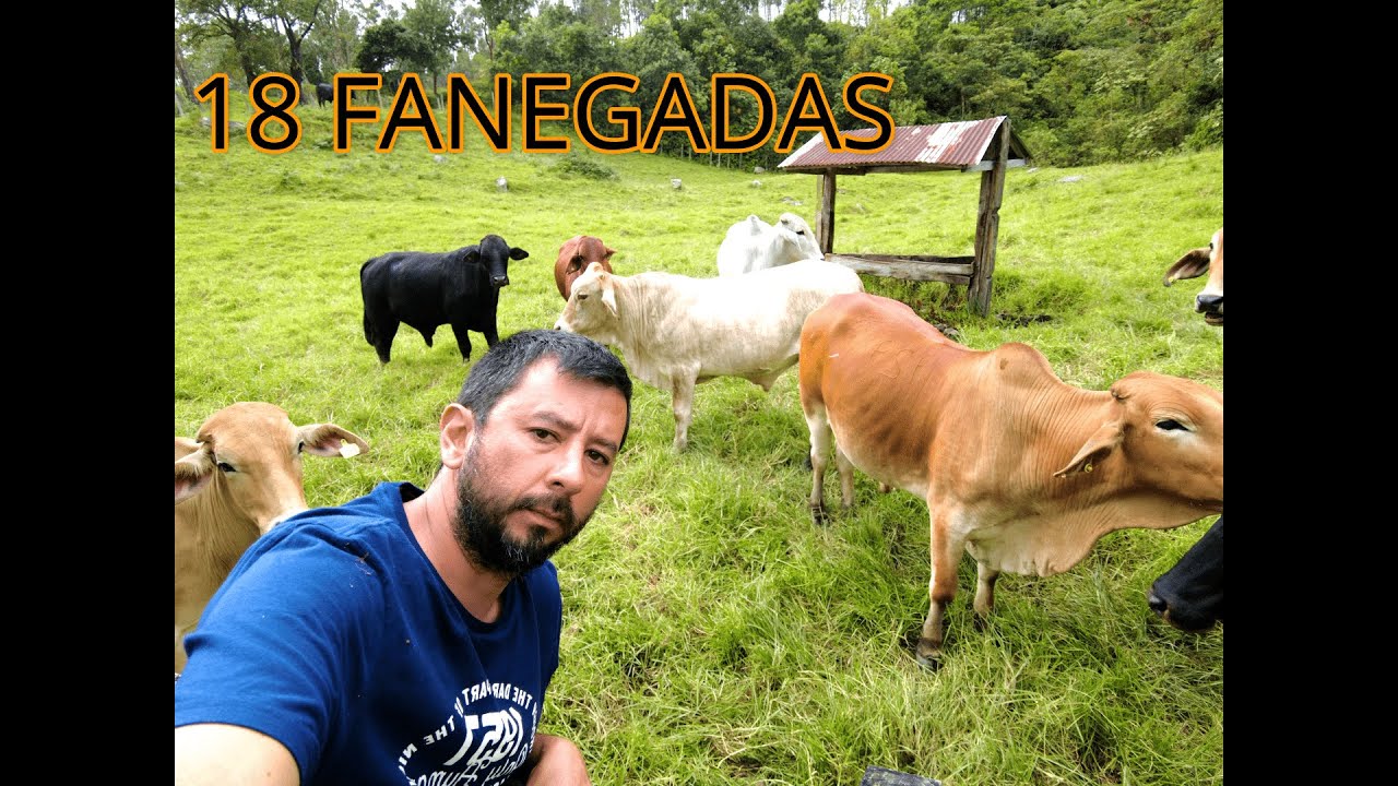 FINCA EN VENTA EN SAN FRANCISCO CUNDINAMARCA 18 FANEGADAS. 1.100 ...