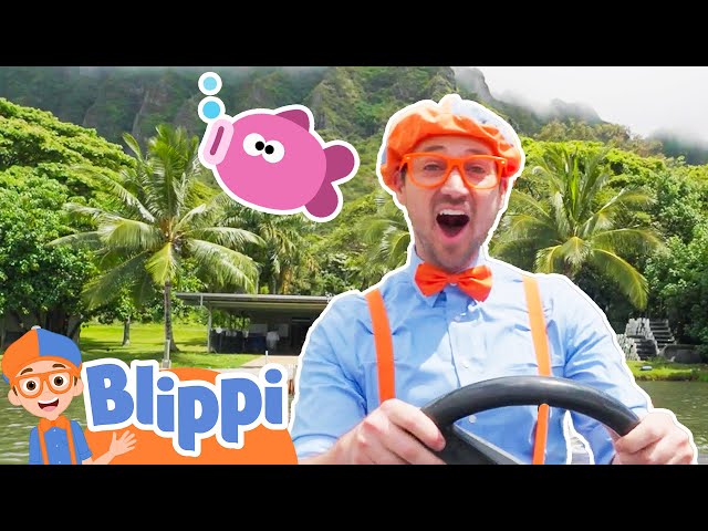 Blippi Goes Fishing in Hawaii! Educational Videos for Toddlers - Videos ...