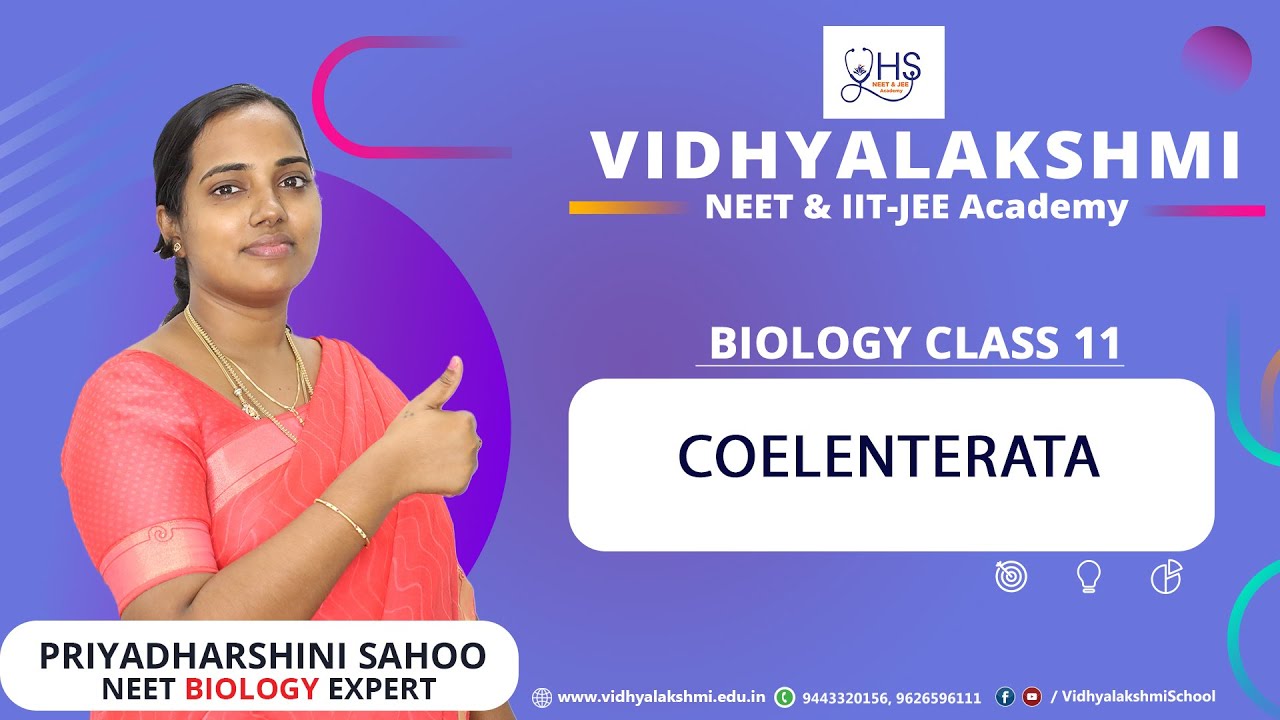 Animal Kingdom | NEET | Coelenterata (Cnidaria) - Structure | Biology ...