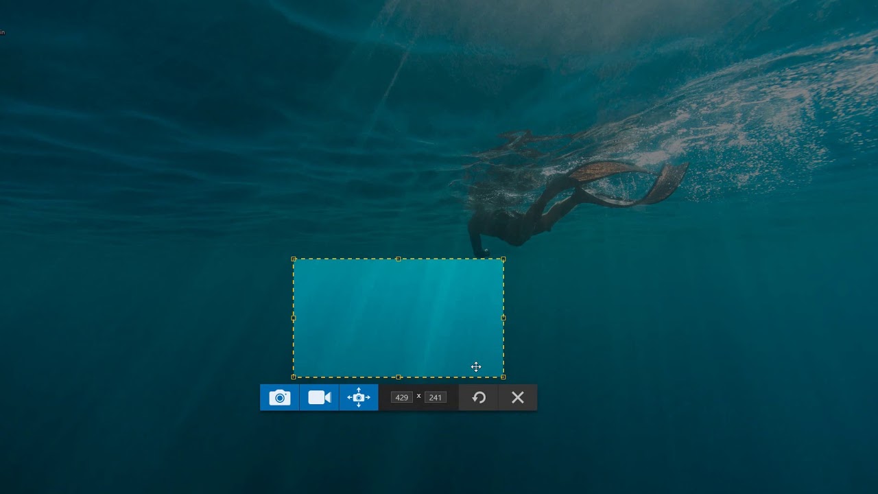 SnagIt Preset - Save time by replacing All in one with Image Only ...