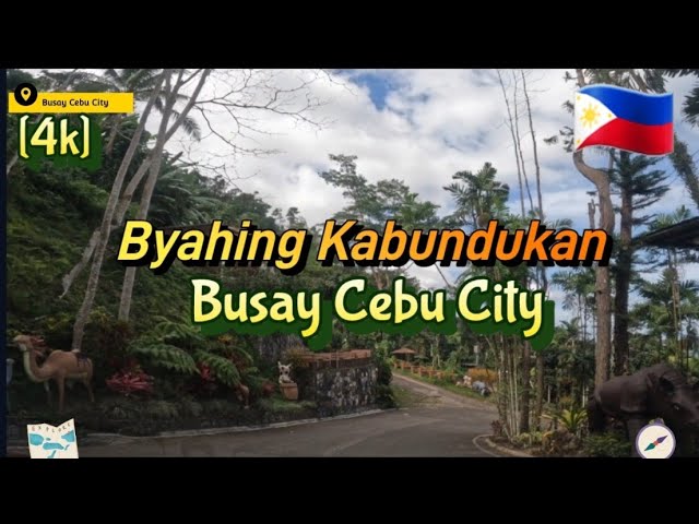 Busay Cebu