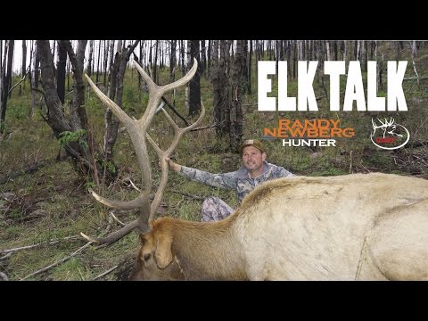 (DIY hunting) ELK TALK - NEW MEXICO ELK TAG DRAWING - YouTube