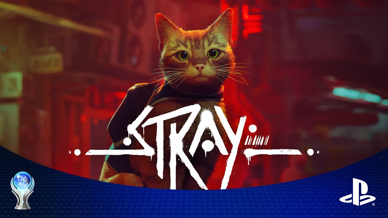 Platine 2023 | #3 - Stray | PS5 - YouTube