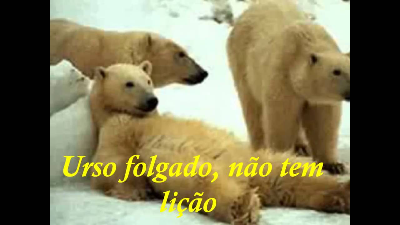Ursinho Pimpão - Turma Do Balão Mágico (Pedido 1).wmv - YouTube