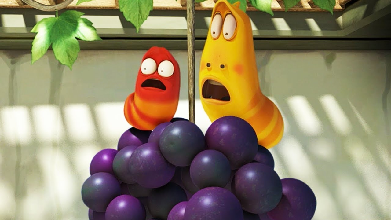 LARVA - GRAPE | 2017 Cartoon | Cartoons For Children | Kids TV Shows ...