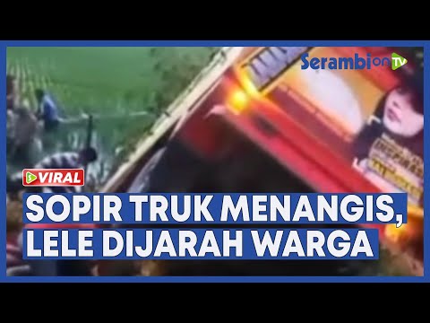 Viral Sopir Truk Menangis Usai Kecelakaan, Lele yang Diangkut Berhamburan ke Sawah & Dijarah Warga