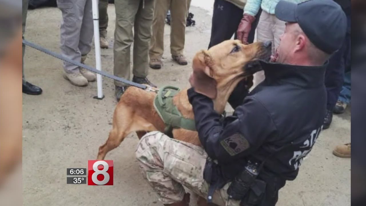K9 Texas Found Safe After 36 Hour Search YouTube k9-texas-found-safe-after-36-hour-search-youtube