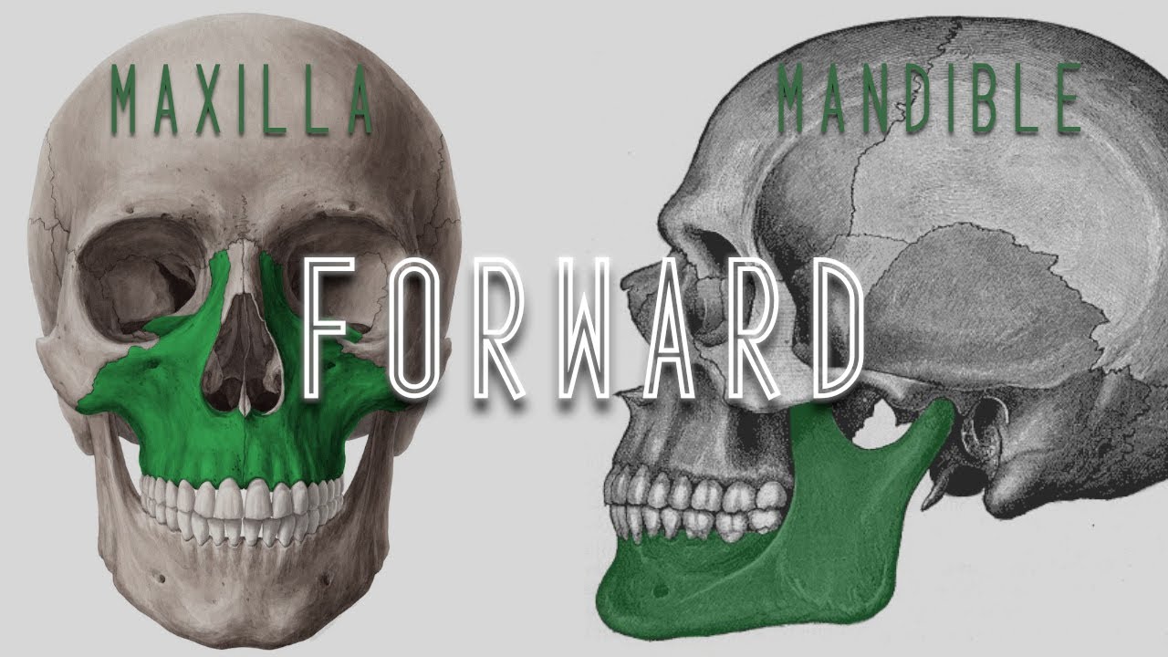 Forward Facial Growth & Wide Palate (Sub + Energy Charged) - YouTube