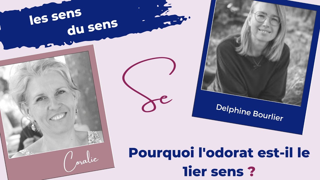 Pourquoi l'odorat est considéré comme le 1ier sens. Delphine Bourlier ...