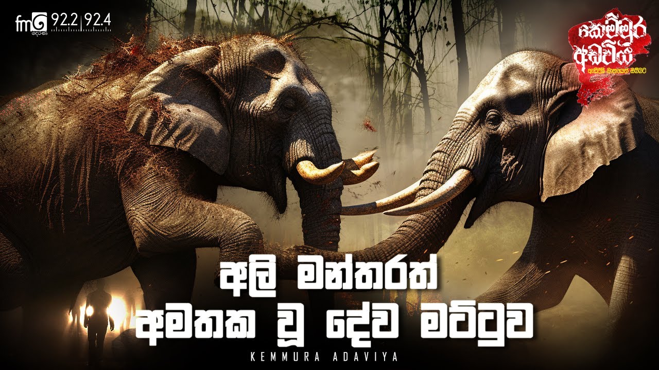 Ali Manthrayath Amathaka Wu Dewa Mattuwa | Kemmura Adaviya | FM Derana ...