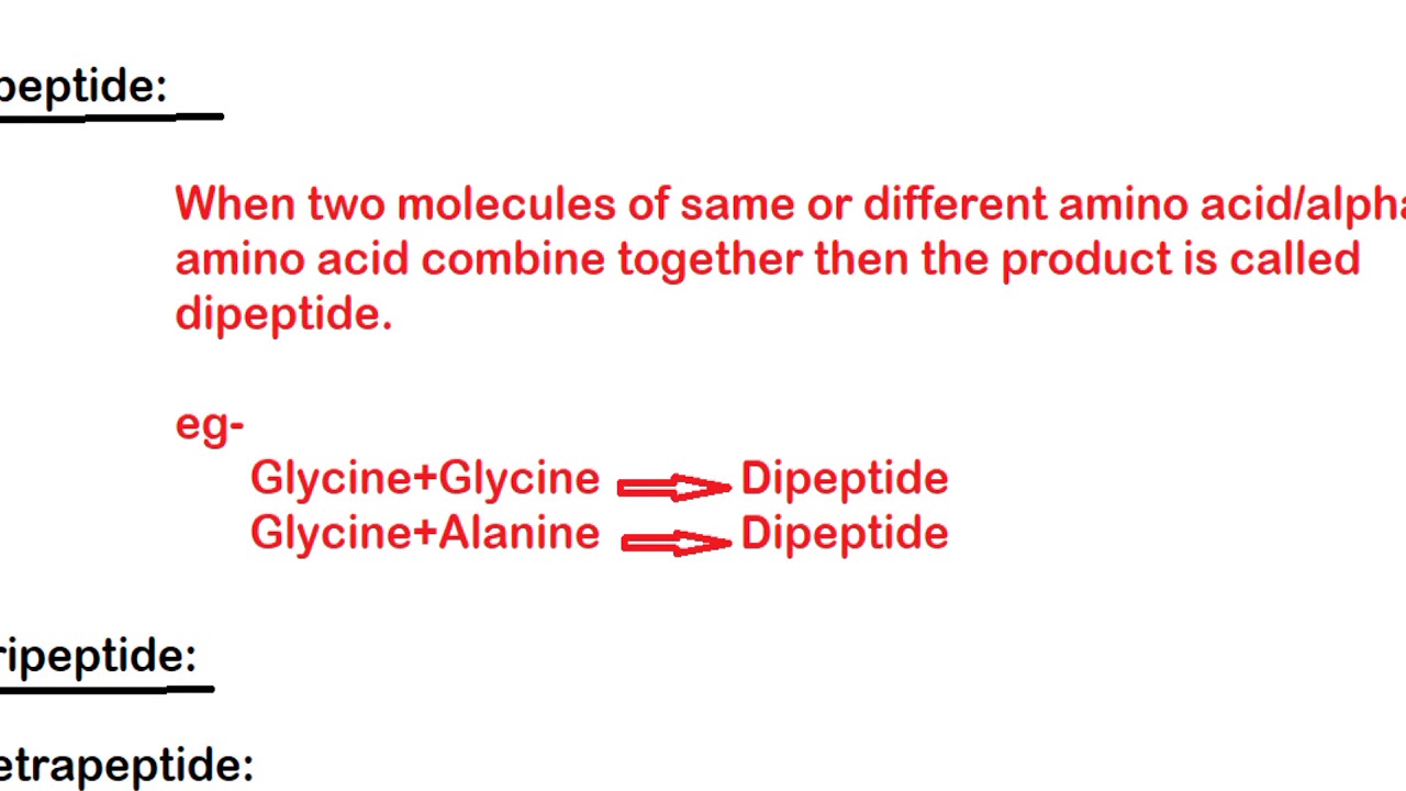 PEPTIDES (classification, nomenclature) - YouTube