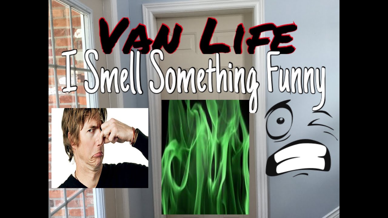 Van Life I smell something Funky - YouTube