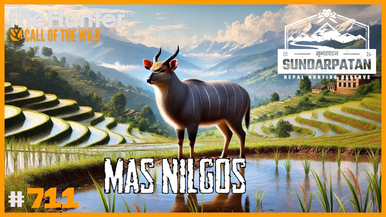 #2 BUSCANDO AL DIAMANTE DE NILGÓ - SUNDARPATAN, NEPAL | 🦌theHunter ...
