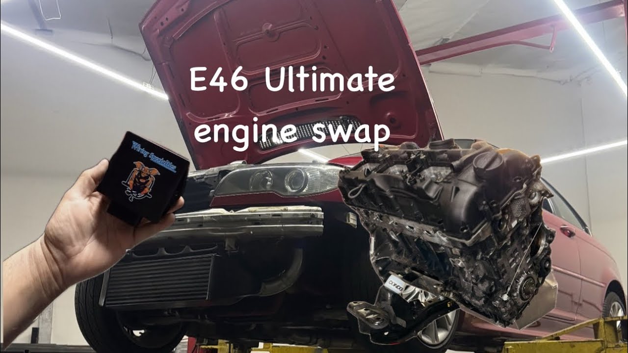 E46 ENGINE SWAP N55 Update|Wiring Specialties Rev CAN module. #e46 #n55 ...
