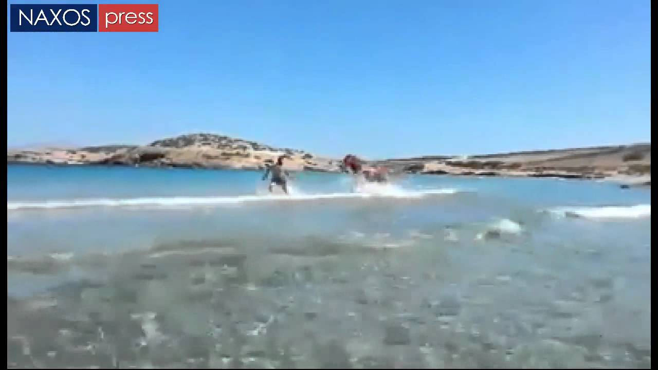 Ο ΣΑΡΙΦ κολυμπάει στην Σχοινούσα - YouTube