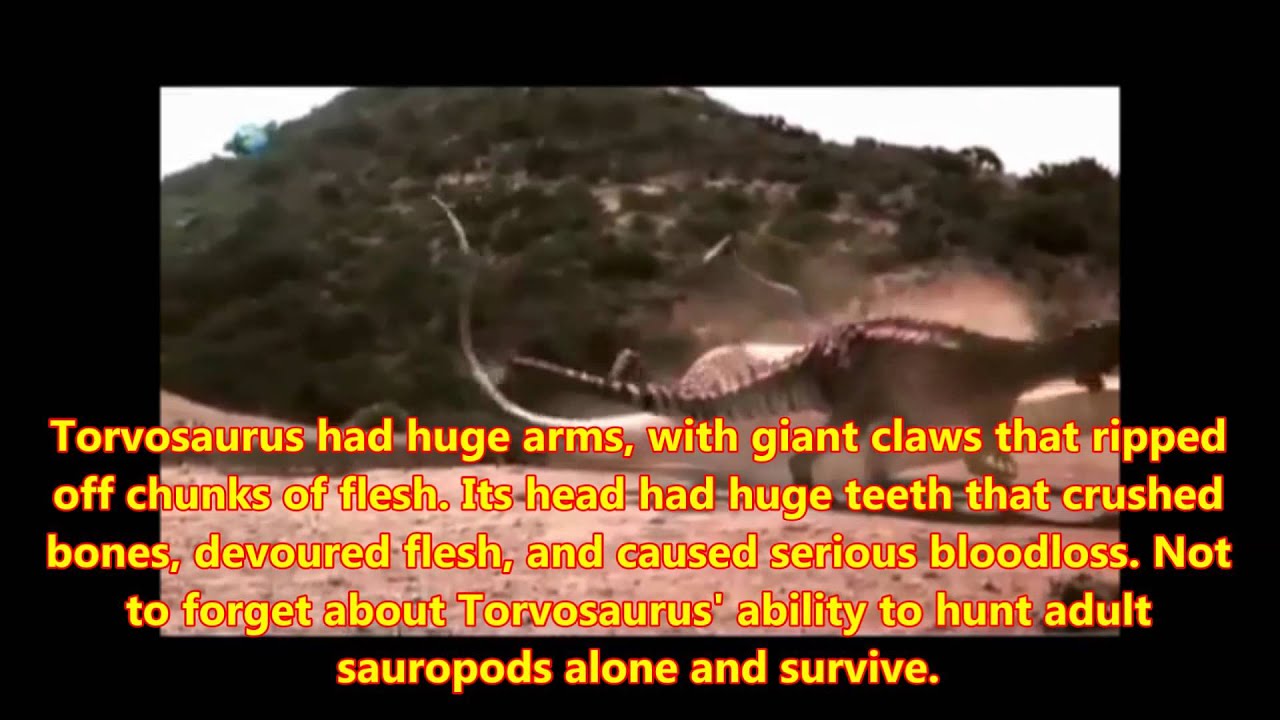 Prehistoric Fight Club Episode 24: Giganotosaurus vs Torvosaurus - YouTube