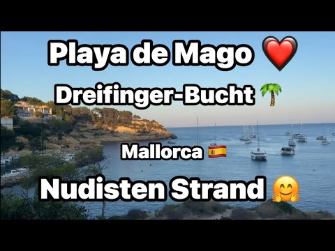Playa de Mago ❤️ Nudisten (FKK) Strand  😍 Dreifinger Bucht Portals Vells 🏖️ am Abend 🌅 Mallorca 🇪🇸