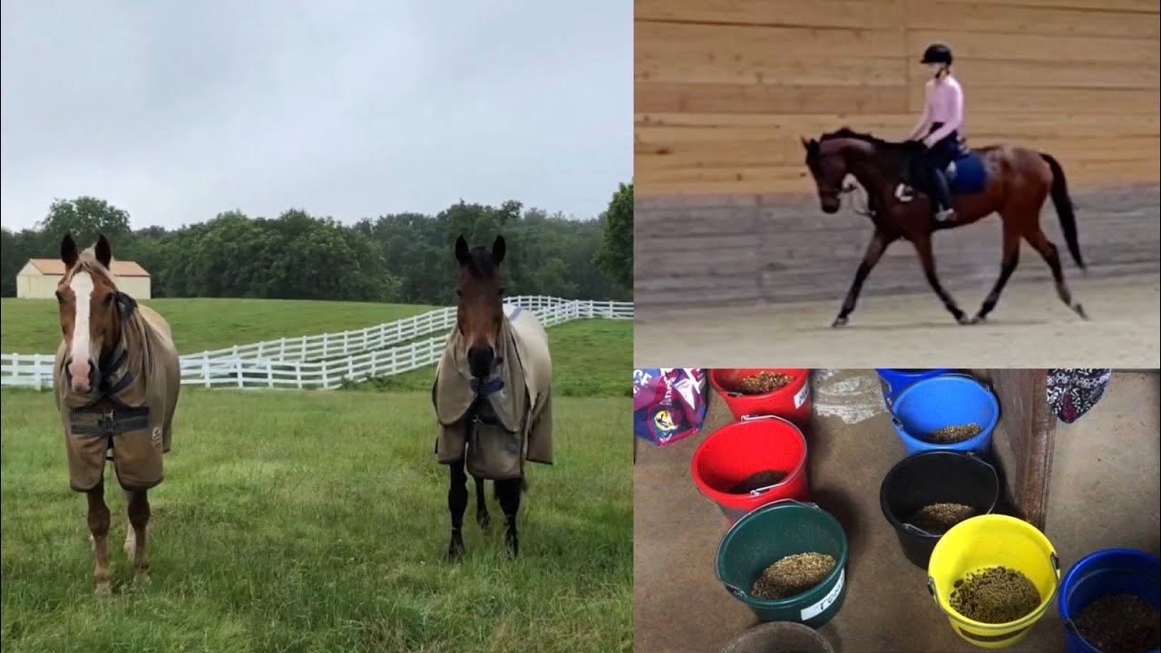 VLOG || A Morning Working + Riding At The Stables - YouTube