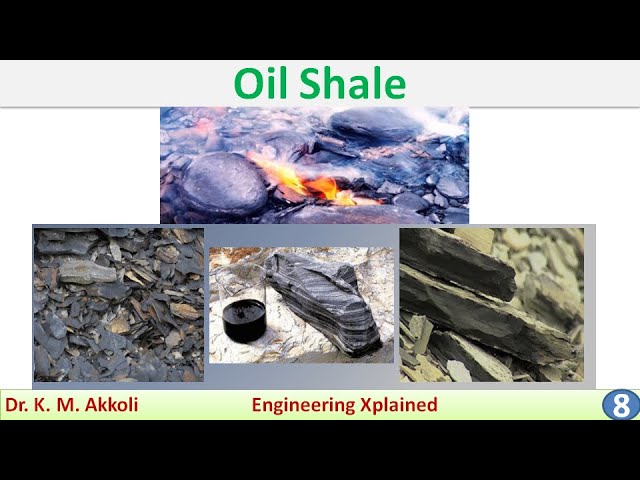 Oil Shale Rock The Geological Society