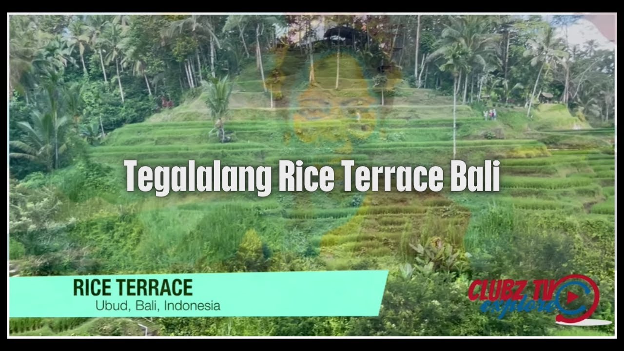Rice Terrace Ubud Bali | Tegalalang Rice Terrace Bali | Ubud Rice ...