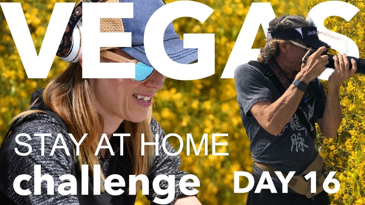 Stay At Home Challenge: Sing a Song - YouTube