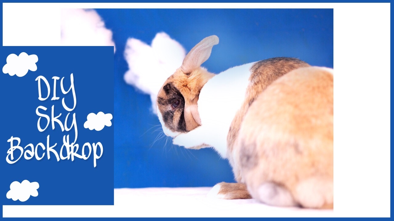 DIY sky backdrop! - YouTube