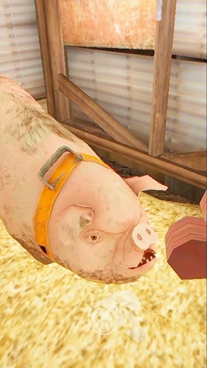 Mr meat horror game pig 🐷 is glitched in few seconds || Mr meat #gaming ...