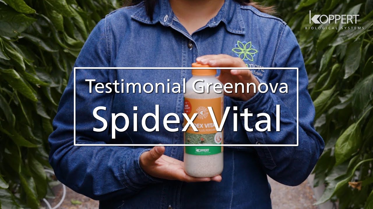 Greennova Invernaderos produce con seguridad y confianza gracias a ...