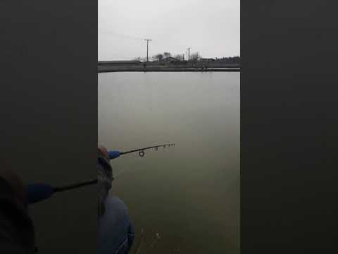MANCING IKAN MBA MONTOK