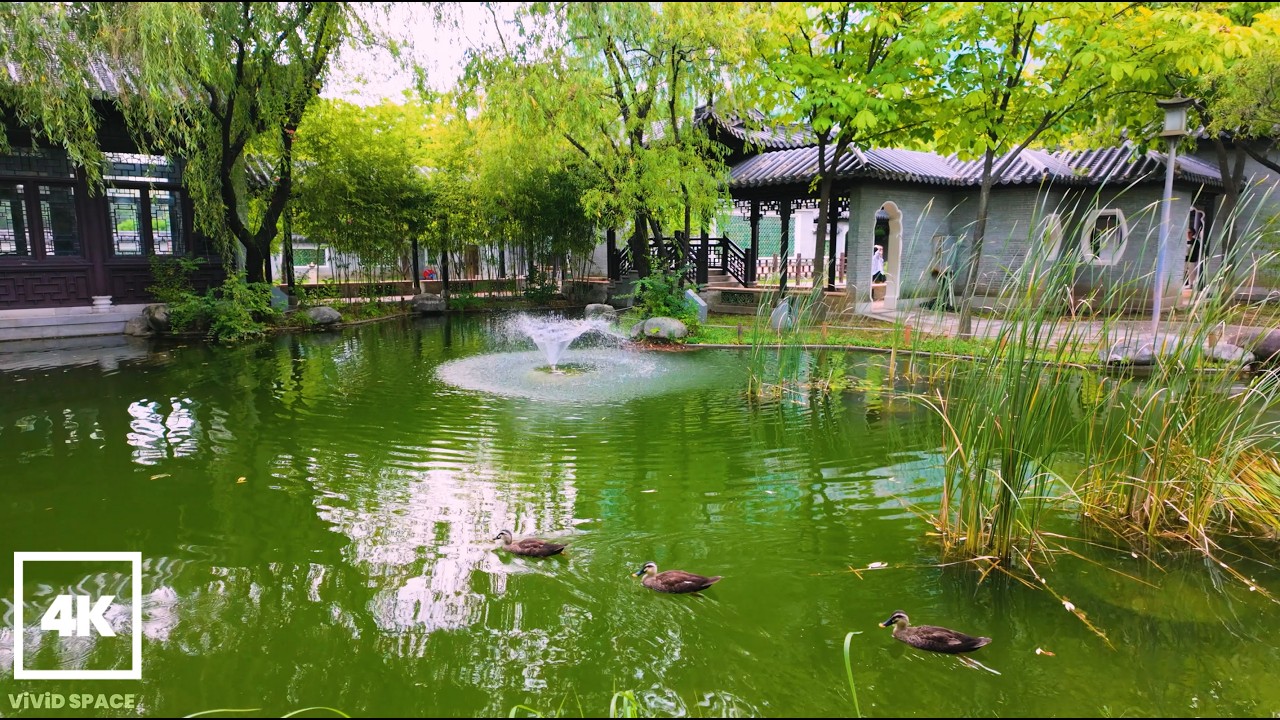[4K Hyowon Park Walk] 도심속의 쉼터 수원효원공원 월화원 걷기 | Suwon Hyowon Park ...
