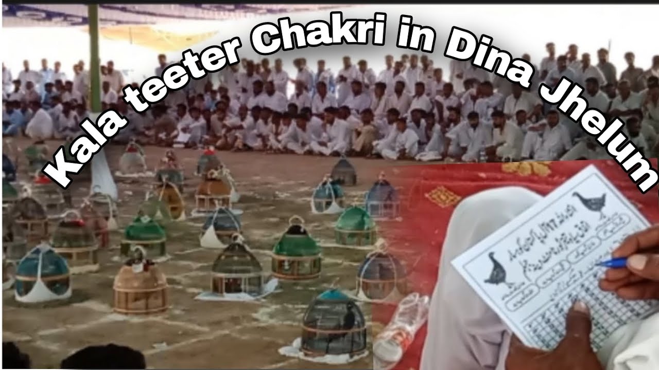 Kala teeter Chakri in Dina Jhelum | Chakri in Dina Jhelum Pakistan ...