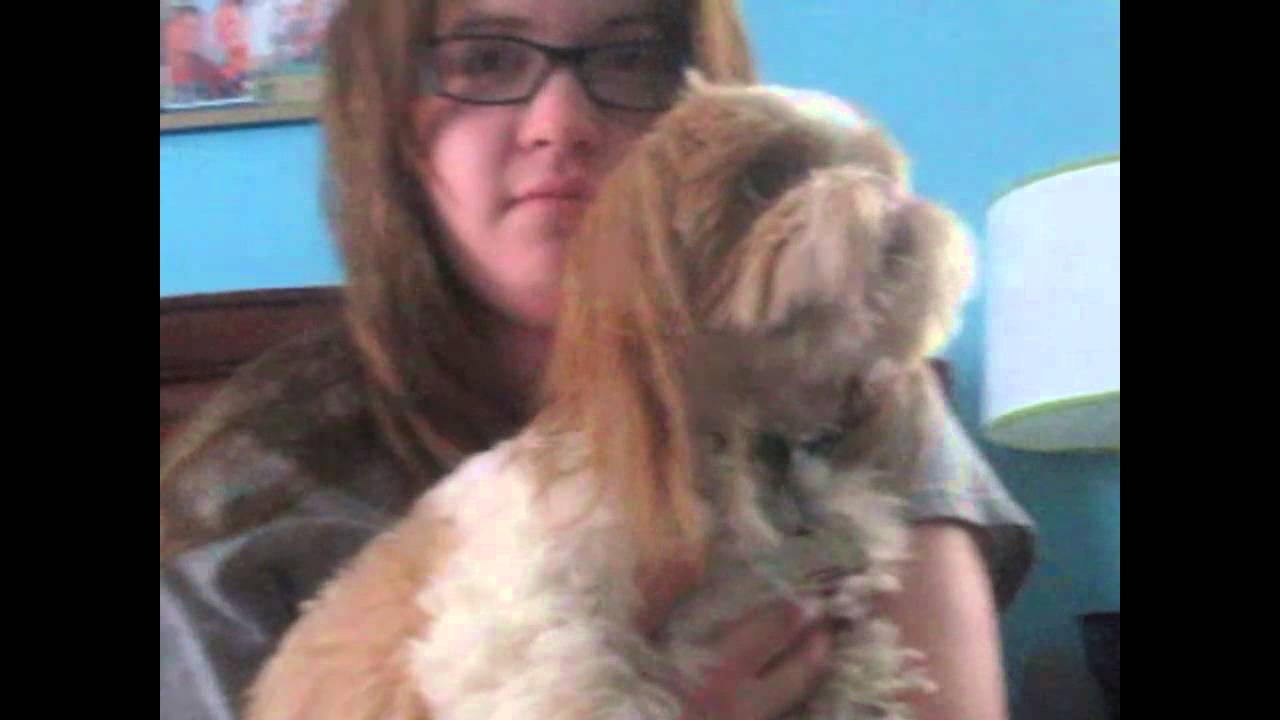 Peace out girl scout!!(5/22/13 day 362) - YouTube