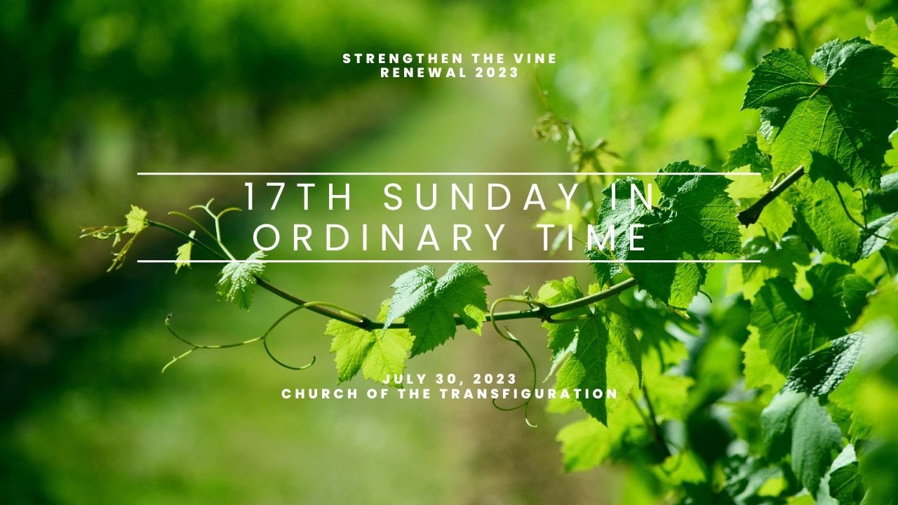 17th Sunday in Ordinary Time (7/30/23) - YouTube