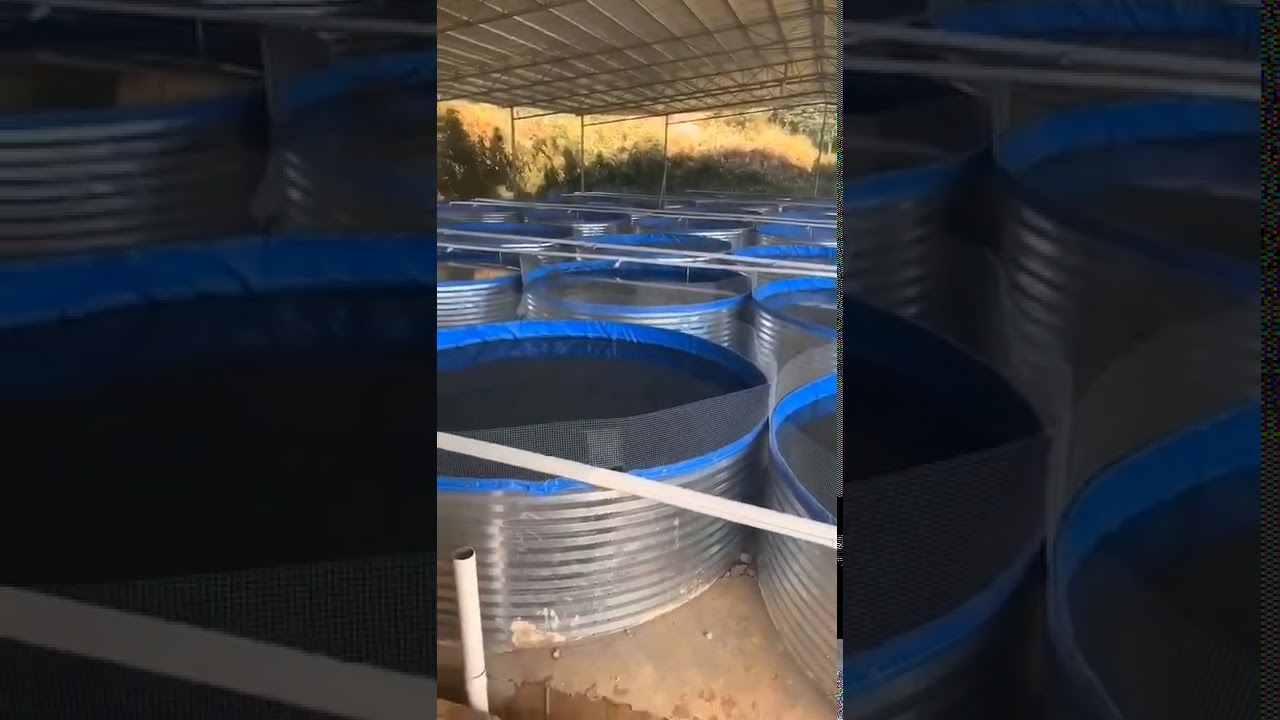 new type galvanized steel fish farming tank - YouTube