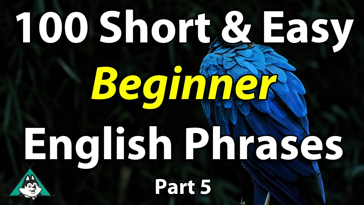 100 Short & Easy English Phrases Part 5 for English Speaking Practice ...