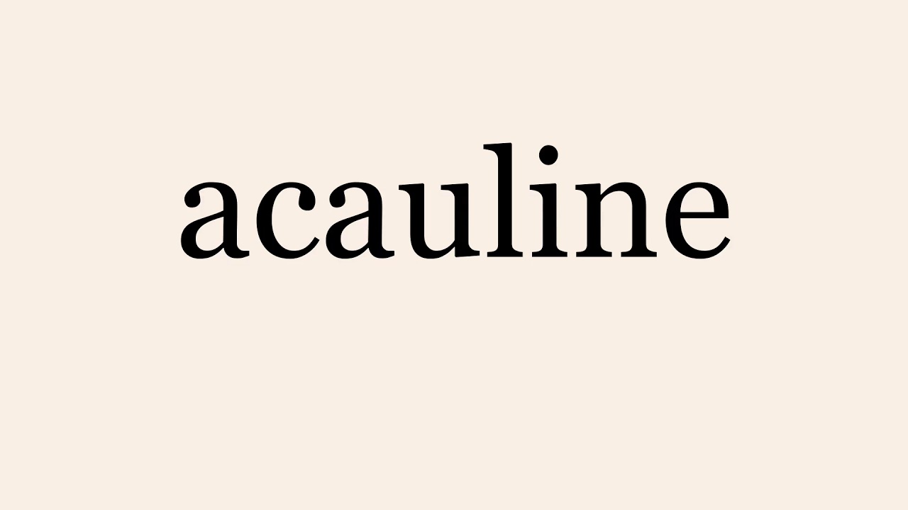 acauline - YouTube