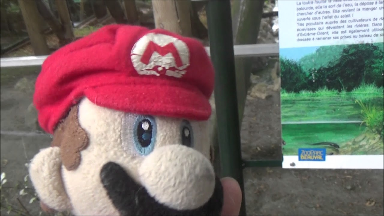 mario : une visite au zoo - YouTube