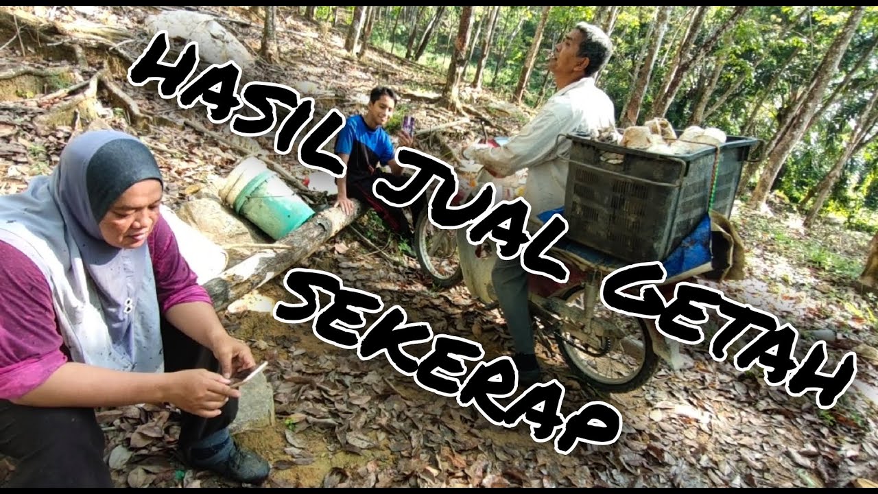 hasih jualan getah sekerap - YouTube