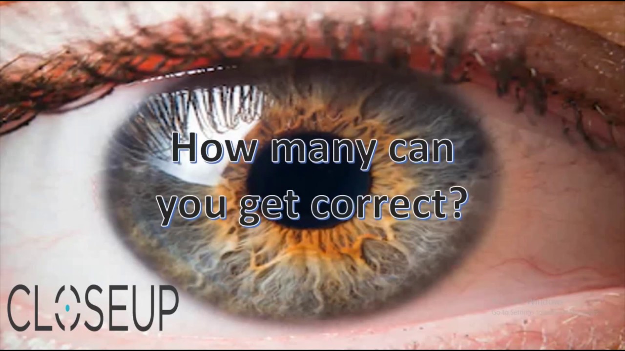 Close Up Quiz - Can You Figure Out What These Everyday Items Are? - YouTube