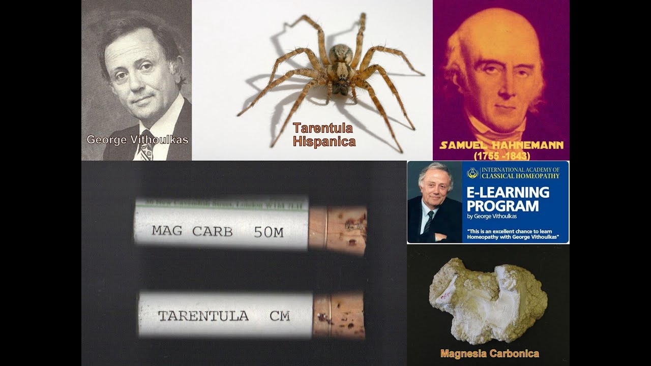 George Vithoulkas ~ Magnesia Carbonica and Tarentula Hispanica case ...