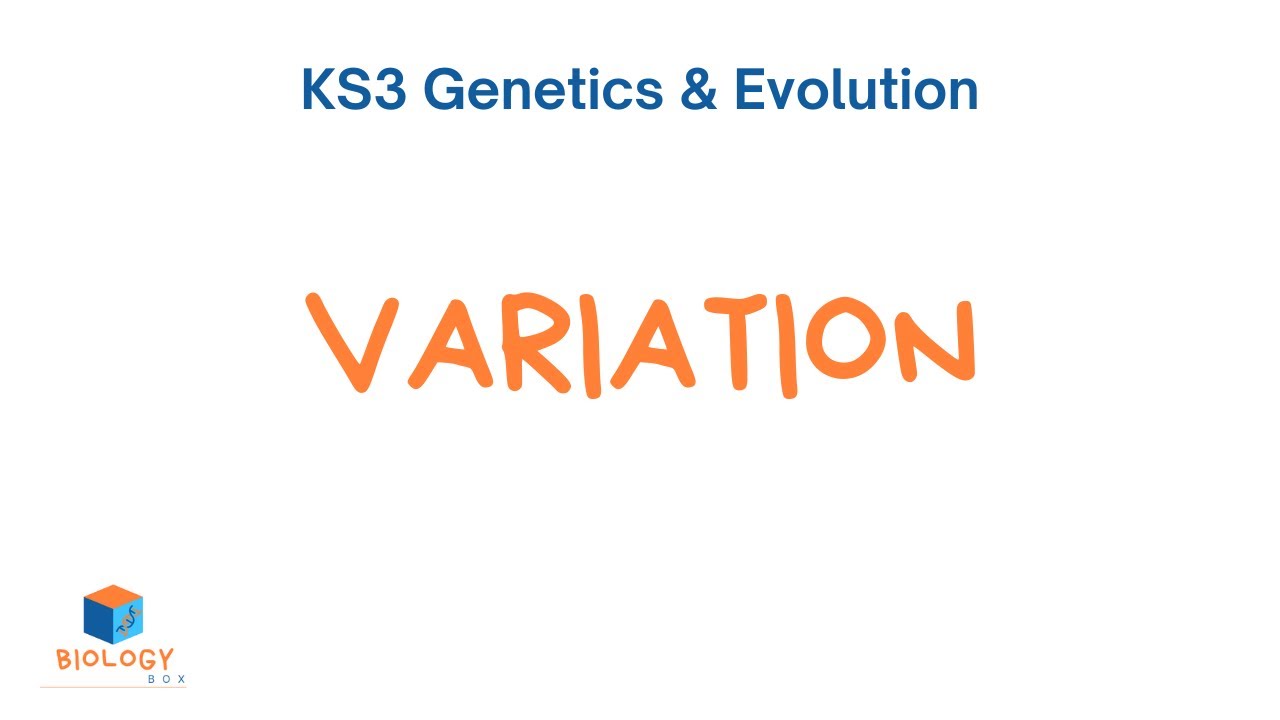 Variation (KS3 Biology - Genetics & Evolution #4) - YouTube